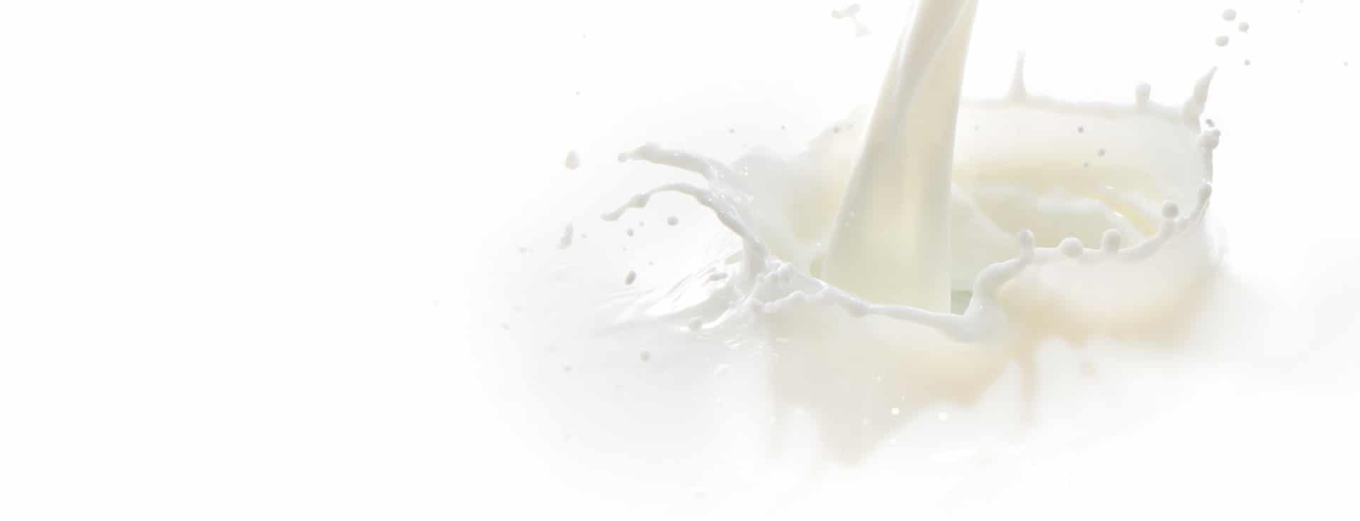 Lactoferrin - Bega Bionutrients | Lactoferrin Supplier
